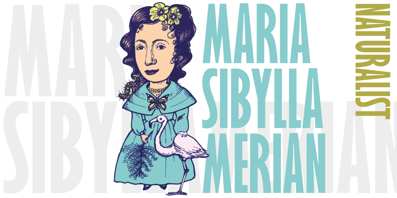 Maria Sibylla Merian – Naturalist | STEM Sisters
